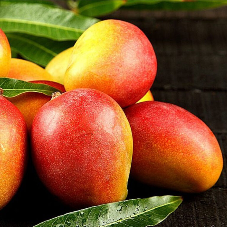 Kuttiattoor Mango – Custom Printing